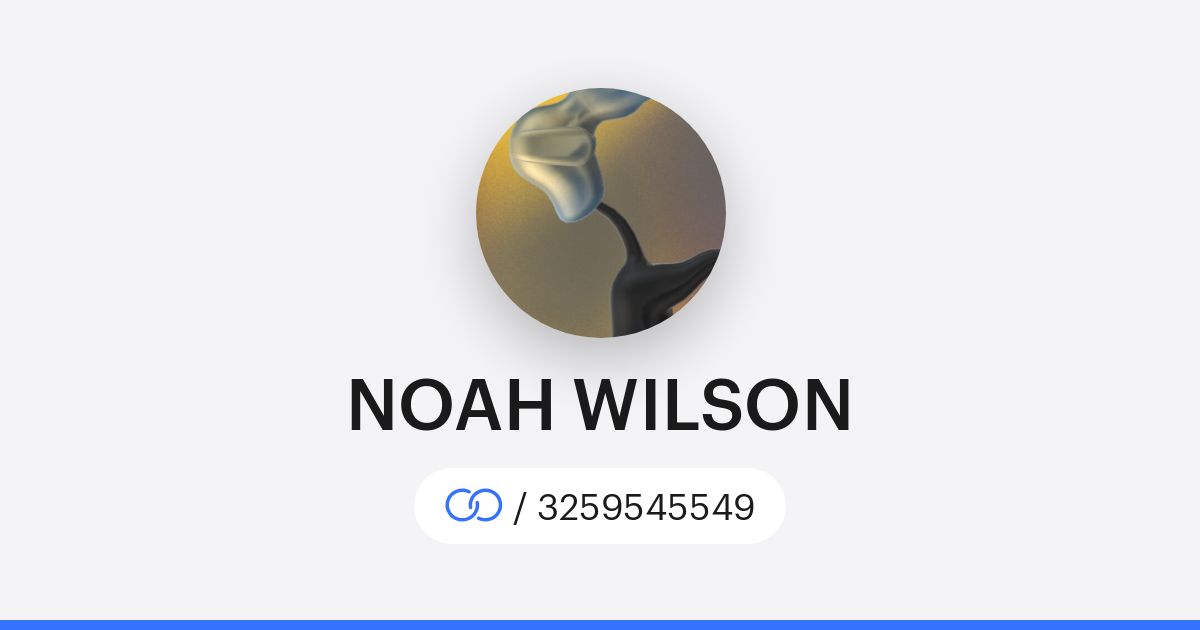 NOAH WILSON (/3259545549) · solo.to