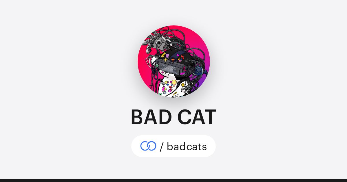 BAD CAT (/badcats) · solo.to