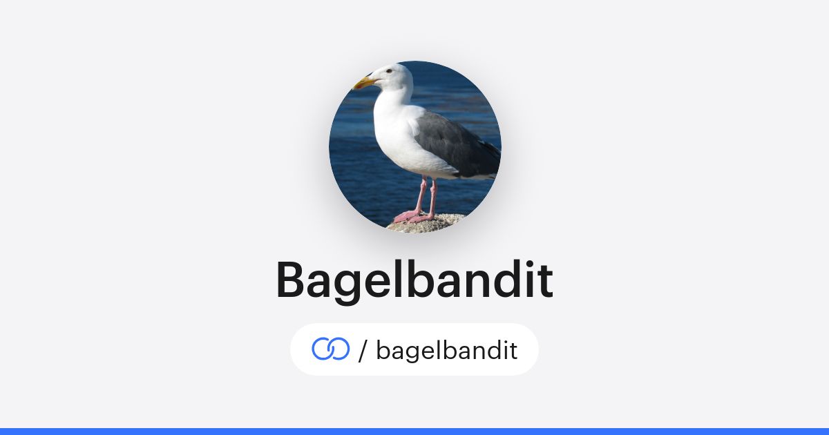 Bagelbandit · solo.to