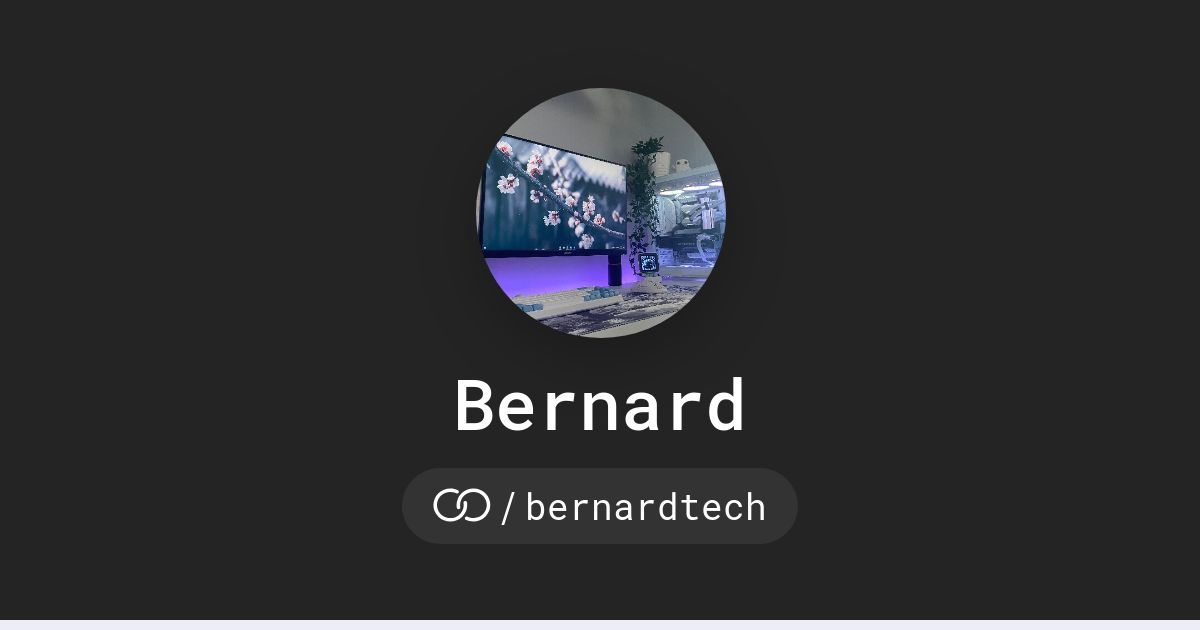 Bernard (/bernardtech) · solo.to