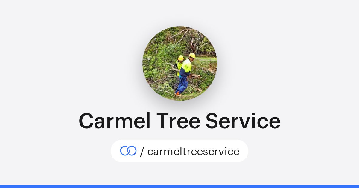 Carmel Tree Service (/carmeltreeservice) · solo.to