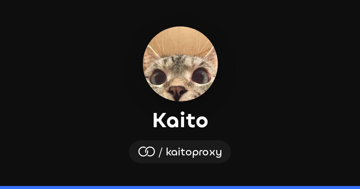 Kaito (/kaitoproxy) · solo.to