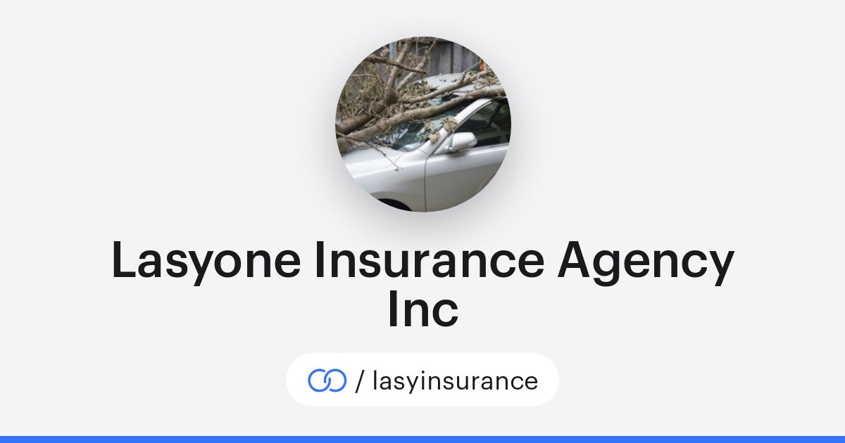 Lasyone Insurance Agency Inc (/lasyinsurance) · solo.to