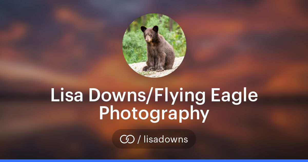 Lisa Downs/Flying Eagle Photography (/lisadowns) · solo.to