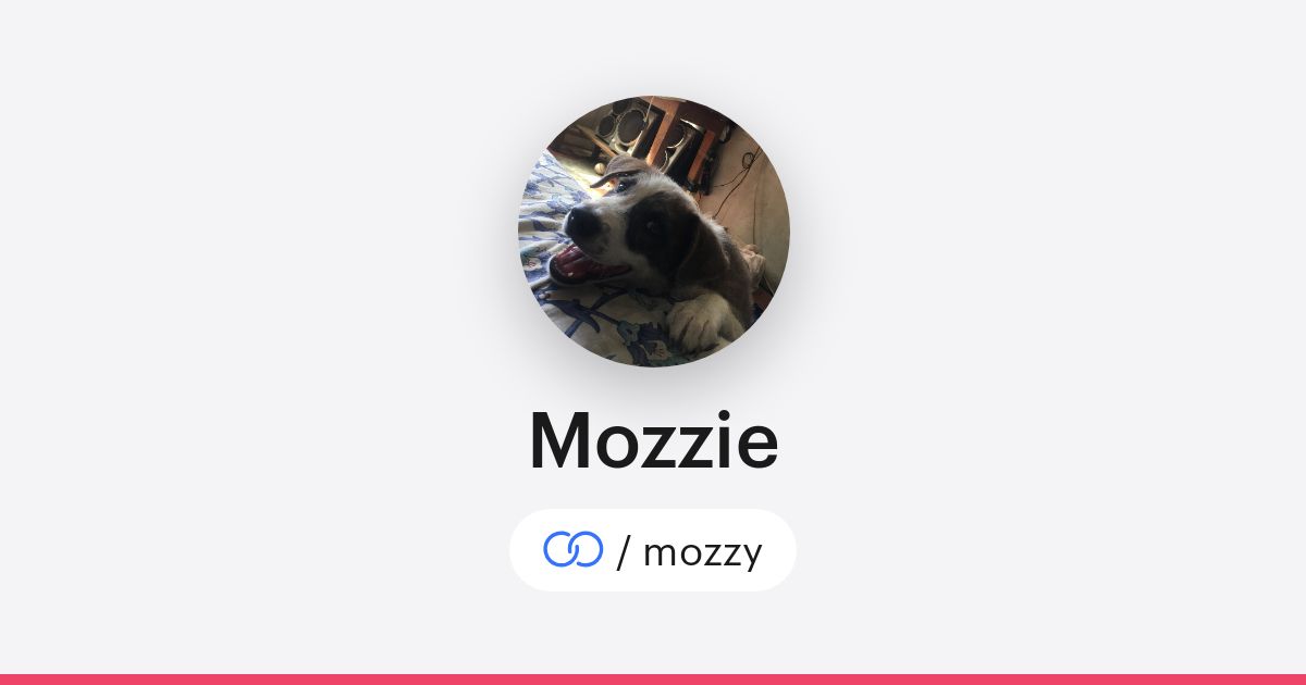 Mozzie (/mozzy) · solo.to