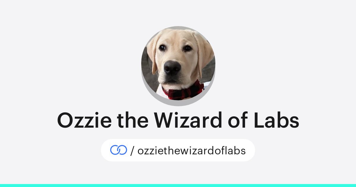 Ozzie the Wizard of Labs (/ozziethewizardoflabs) · solo.to
