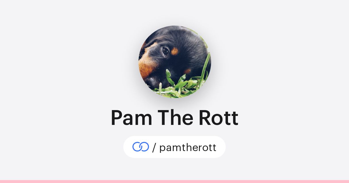Pam The Rott (/pamtherott) · solo.to
