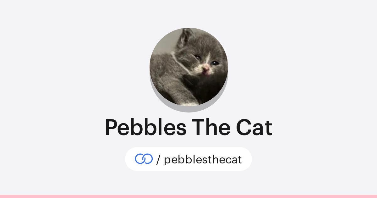 Pebbles The Cat (/pebblesthecat) · solo.to
