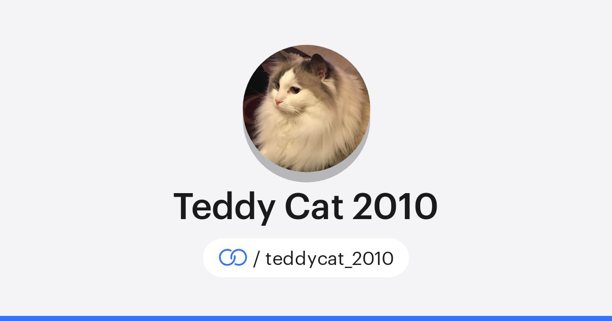 Teddy Cat 2010 (/teddycat_2010) · solo.to