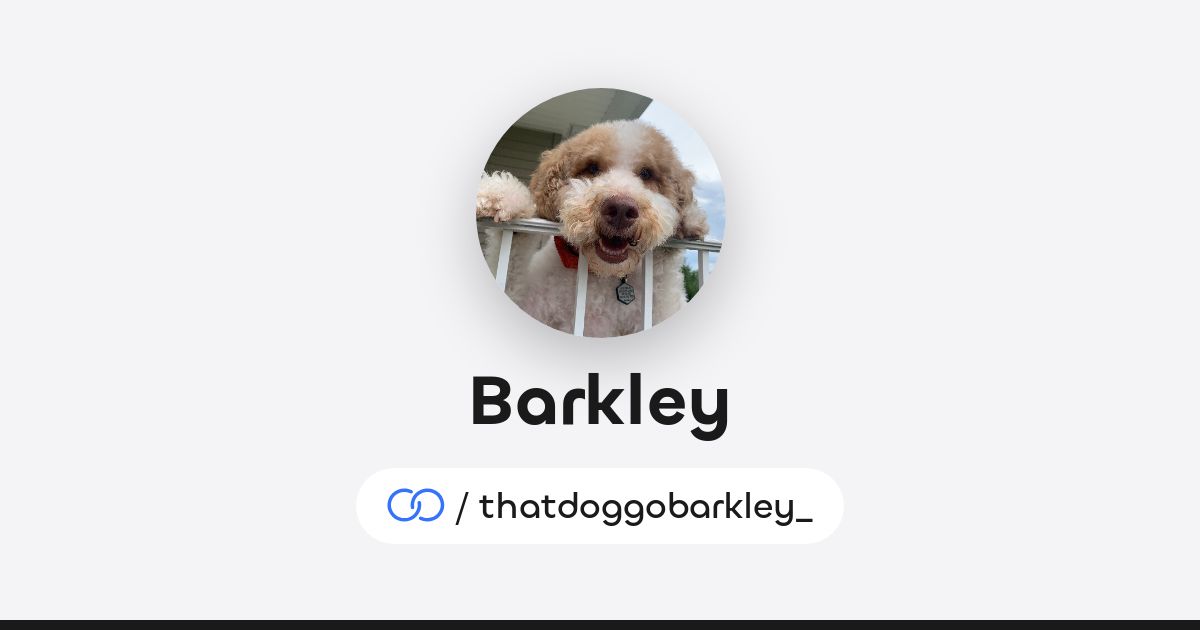 Barkley (/thatdoggobarkley_) · solo.to