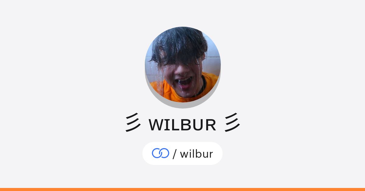 彡 ᴡɪʟʙᴜʀ 彡 (/wilbur) · solo.to