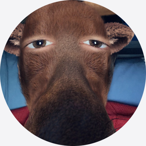 Cosmic___yt (/cosmic___yt) · solo.to