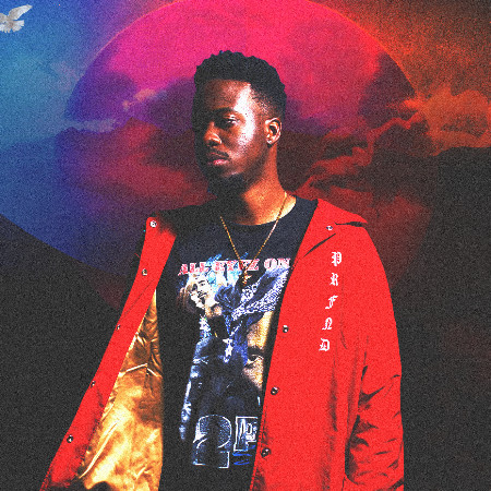 KING. Brad (/kingbrad) · solo.to