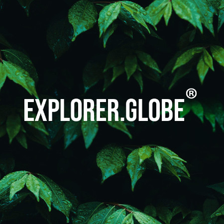 EXPLORER (/explorer.globe) · solo.to