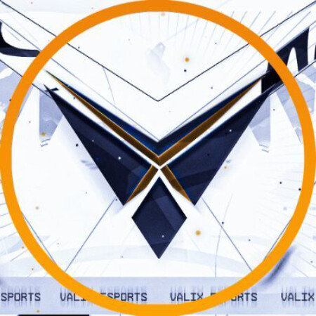 Valix Esports (/valixesports) · solo.to