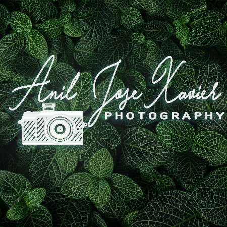 Anil Jose Xavier (/aniljosexavier) · solo.to