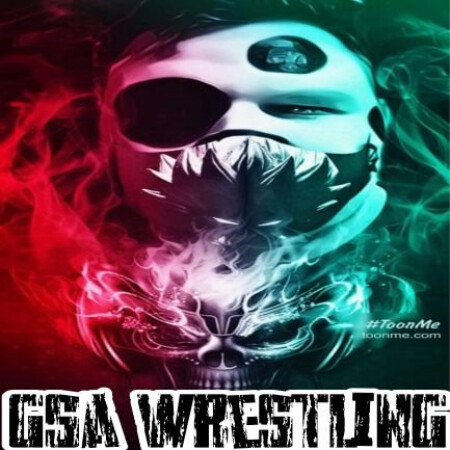 David gsa wrestling (/gsawrestling) · solo.to