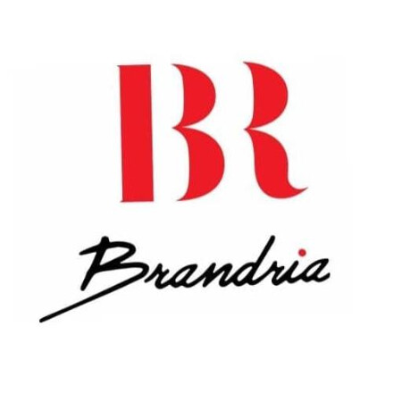 Digital Brandria (/dbrandria) · solo.to