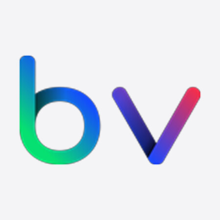 Business Vibes (/bybv) · solo.to