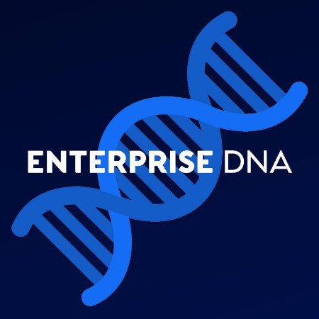 Enterprise DNA (/enterprisedna) · solo.to