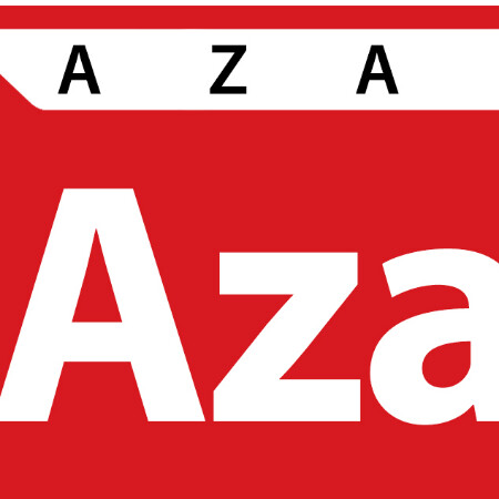 /plastazaran · solo.to