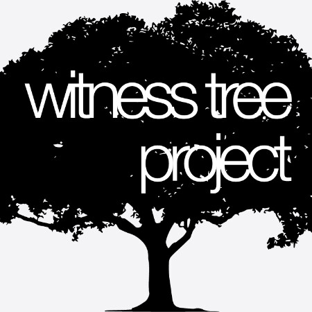 Witness Tree Project (/witnesstreeproject) · solo.to
