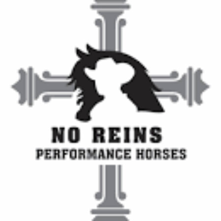 No Reins Performance Horses LLC (/noreinsperformance) · solo.to