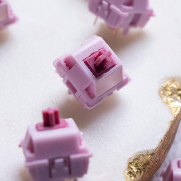 Zadesss (/zades) · solo.to